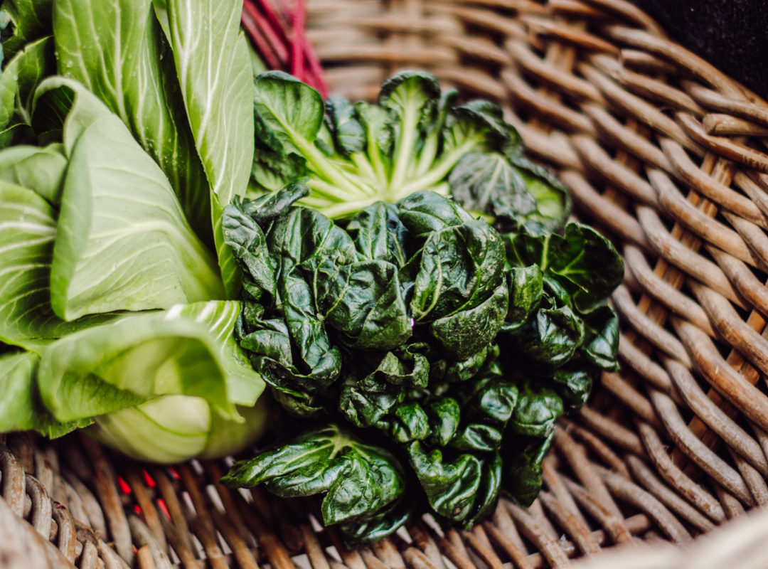 Regionales Winter-Gemüse im Überblick